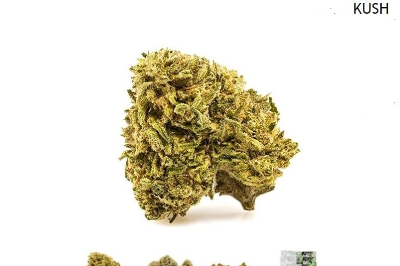 Voici la signification du terme 'Kush' | Sensoryseeds