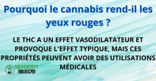 Pourquoi le cannabis cause-t-il des yeux rouges
